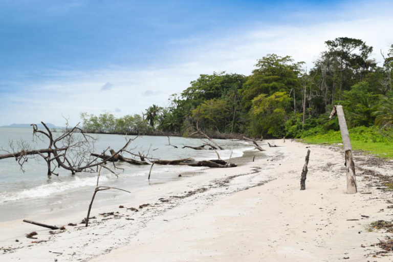 Panama Highlights - Vom Großstadtdschungel auf die tropischen ...
